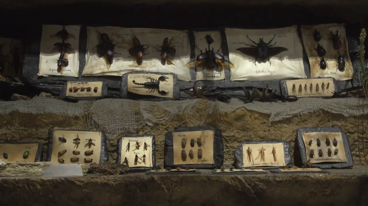 Shedding Some Light on David's Lab - Alien: Covenant Forum | Page 3 of 3