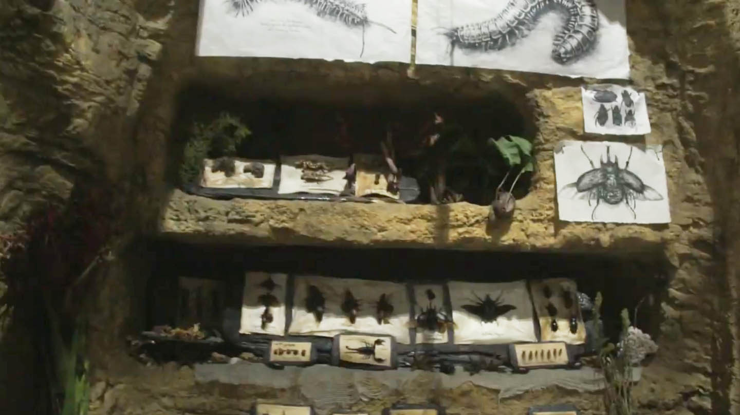 Shedding Some Light on David's Lab - Alien: Covenant Forum | Page 3 of 3