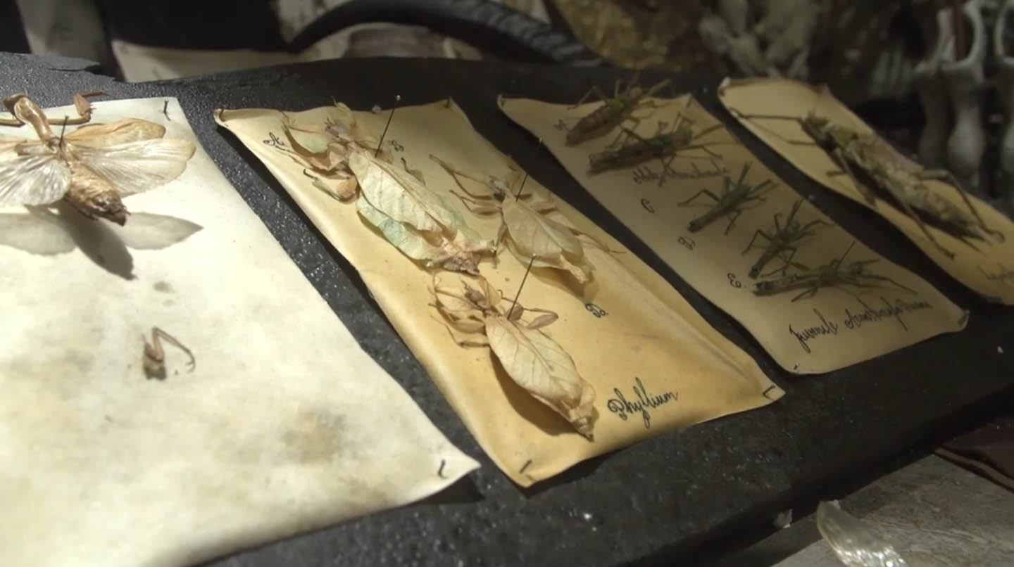 Shedding Some Light on David's Lab - Alien: Covenant Forum | Page 3 of 3