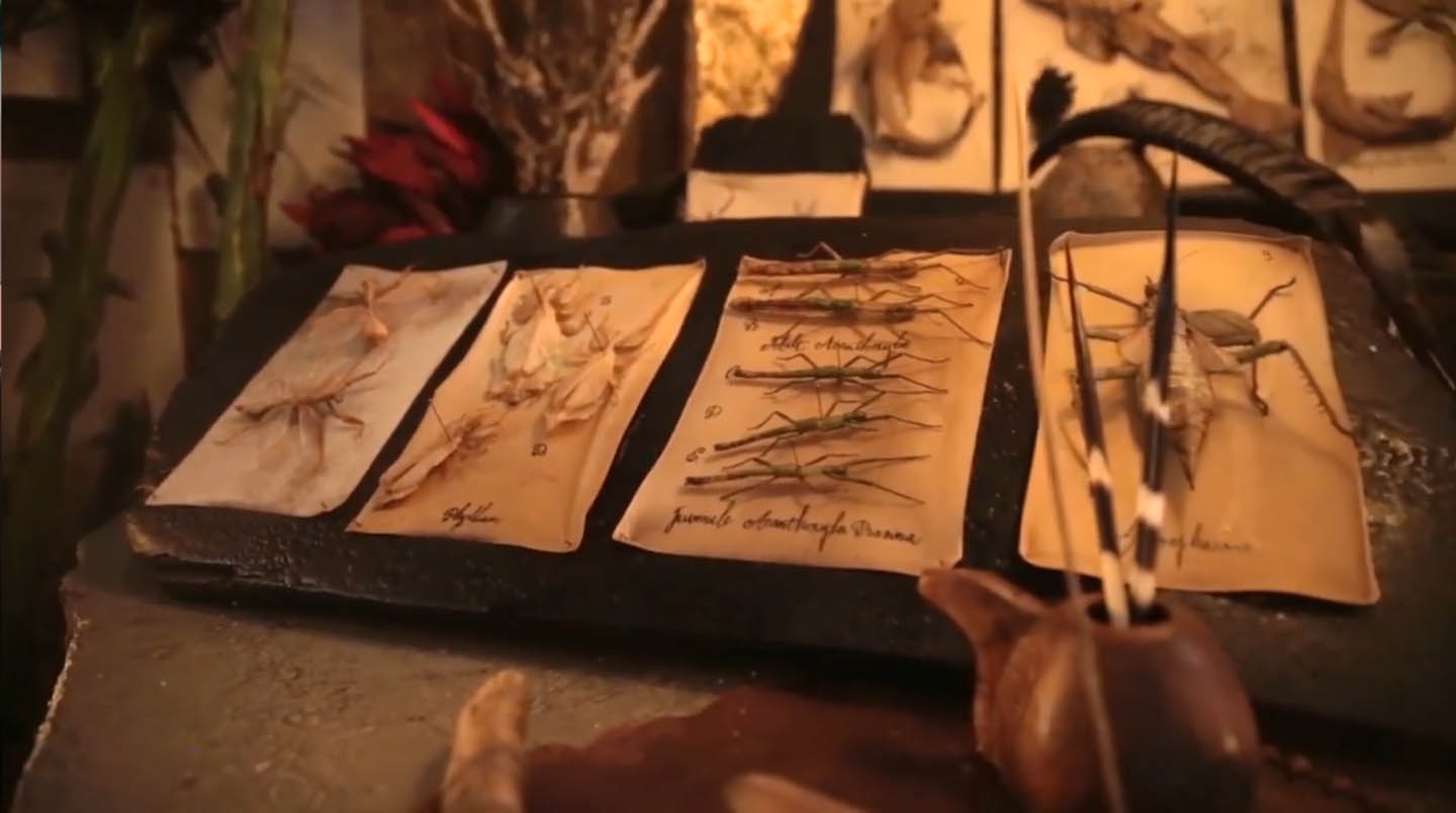 Shedding Some Light on David's Lab - Alien: Covenant Forum | Page 3 of 3