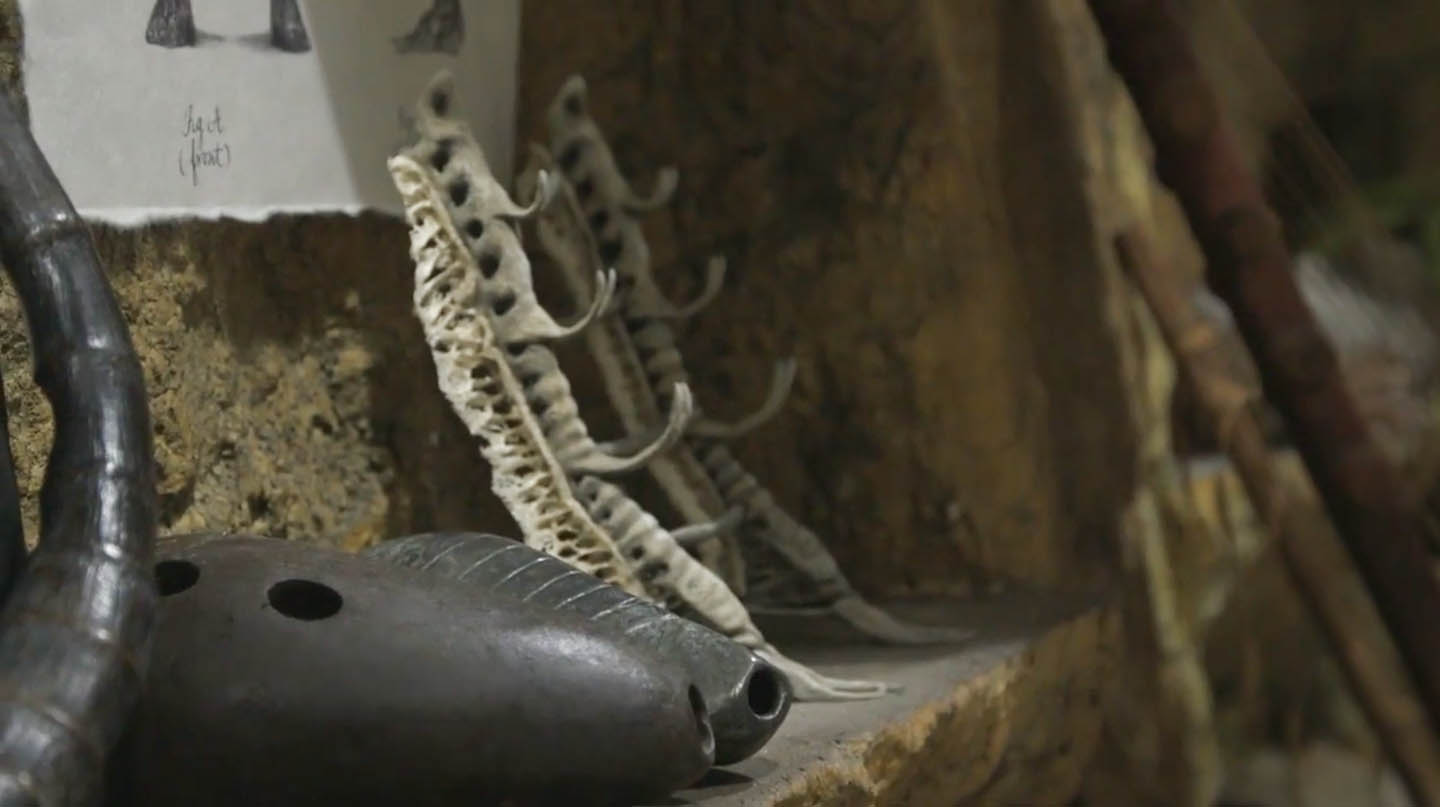 Shedding Some Light on David's Lab - Alien: Covenant Forum | Page 3 of 3