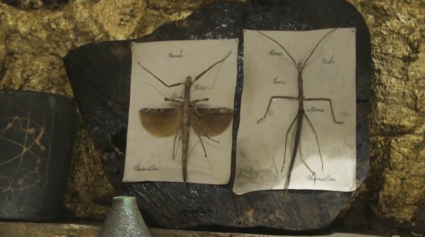 Shedding Some Light on David's Lab - Alien: Covenant Forum | Page 3 of 3