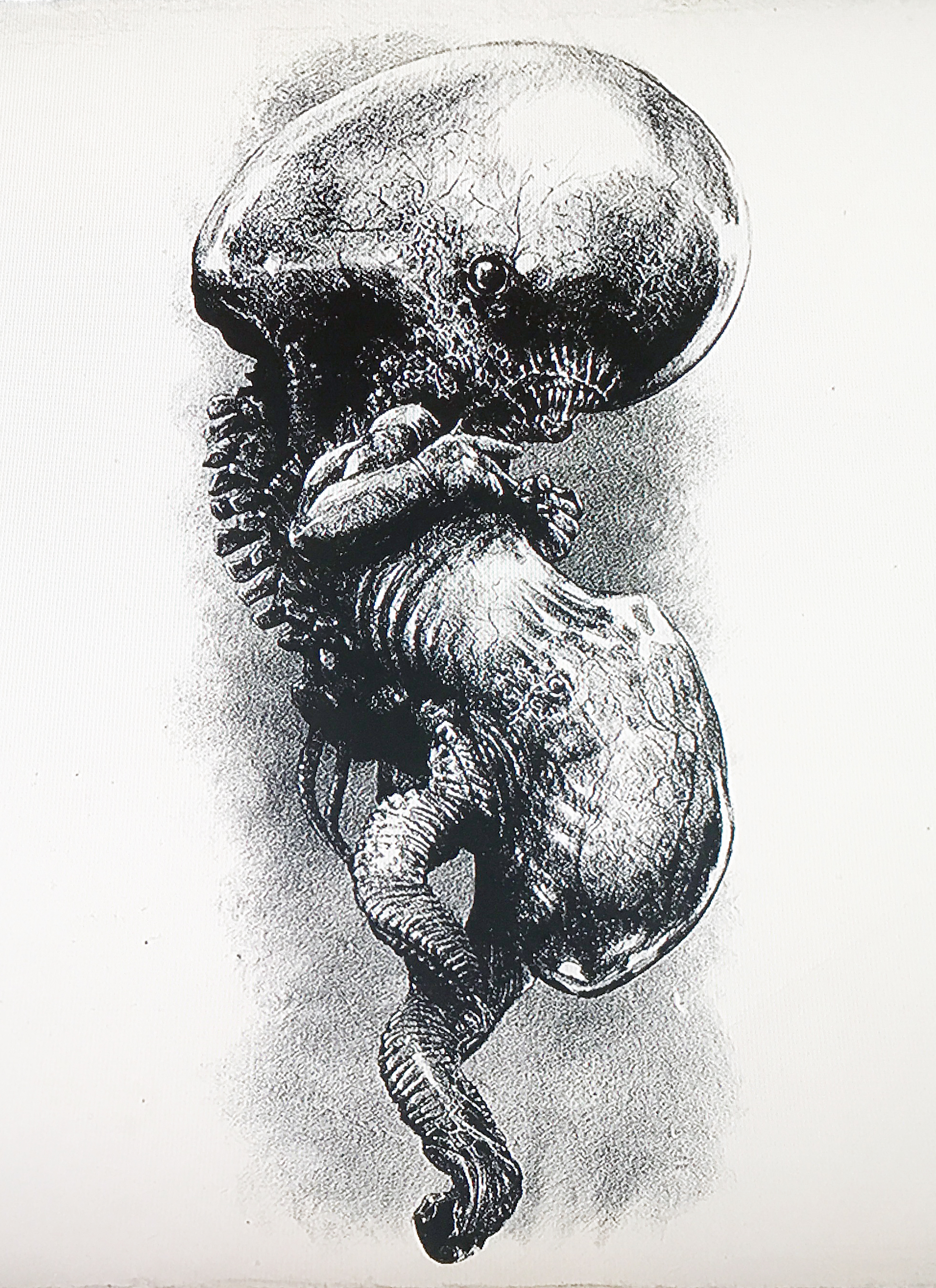 engineer and xenomorph relationship? - Alien: Covenant Forum