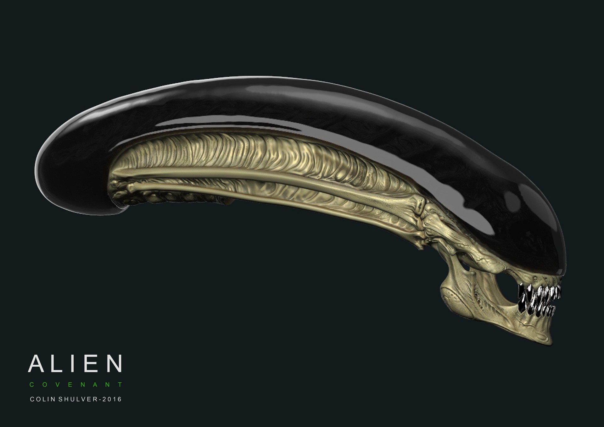 Alien Covenant Protomorph Skull - Brandnew Images by Concept Artist ...