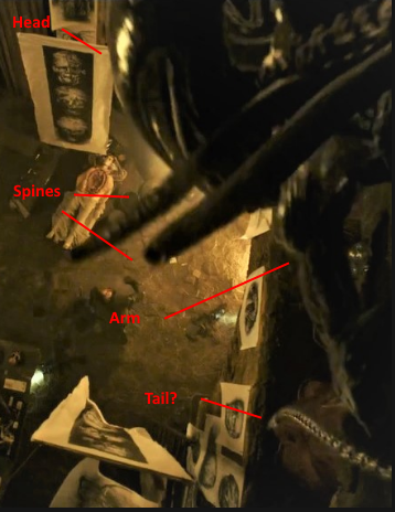 Daniels:Military training? - Alien: Covenant Forum