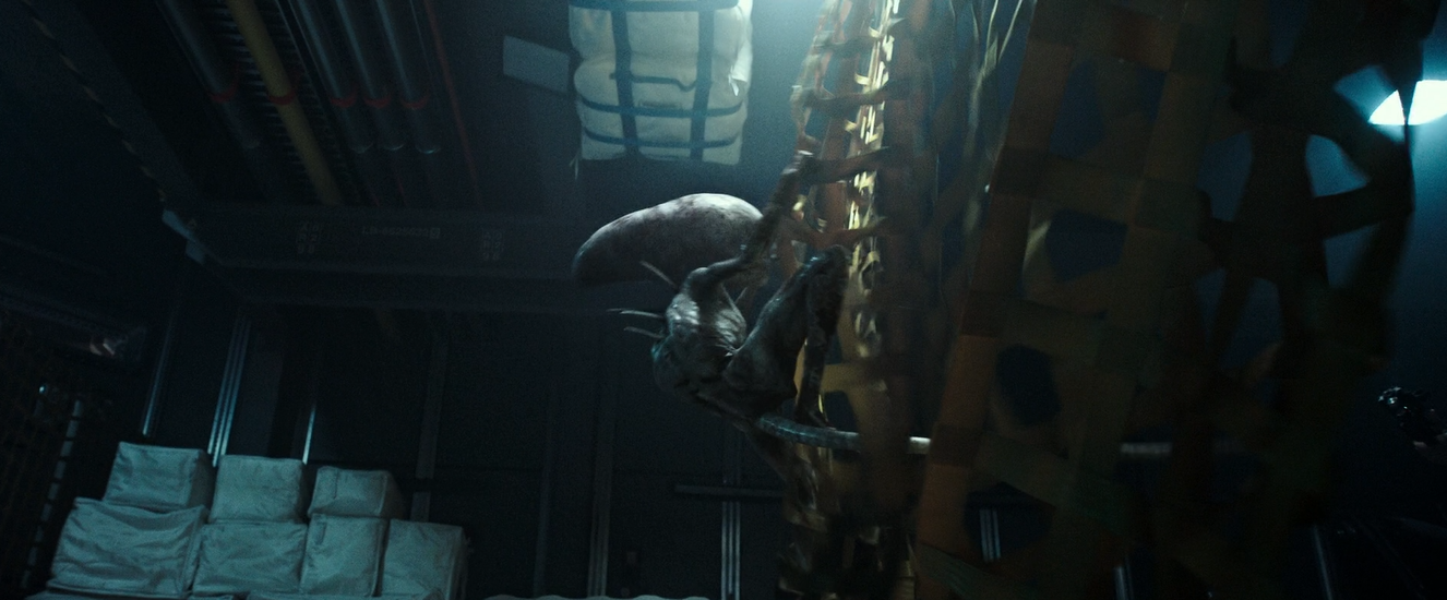 Adolescent xenomorph deleted scene? - Alien: Covenant Forum